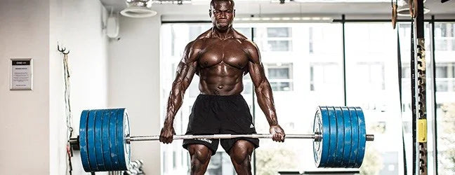 How to Become a Body Builder - Step 1 – MaxiNutrition